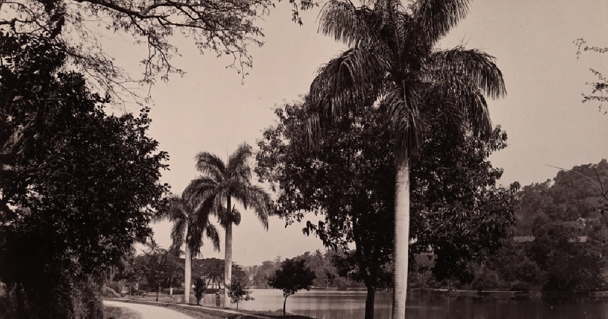 #907 - Charles Scowen | Peter Fetterman Gallery