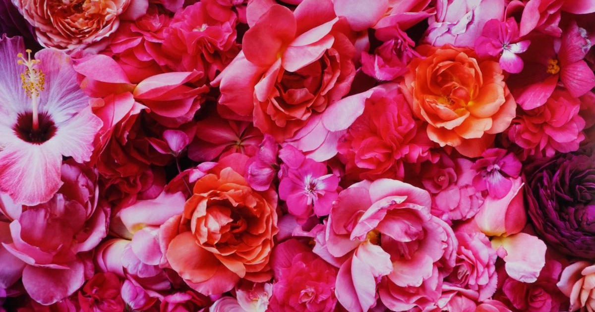 #982 - The Flower show | Cig Harvey | Peter Fetterman Gallery