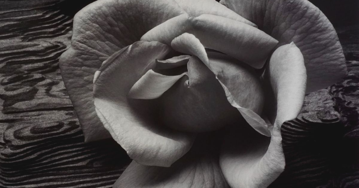 #1132 - Ansel Adams | Peter Fetterman Gallery