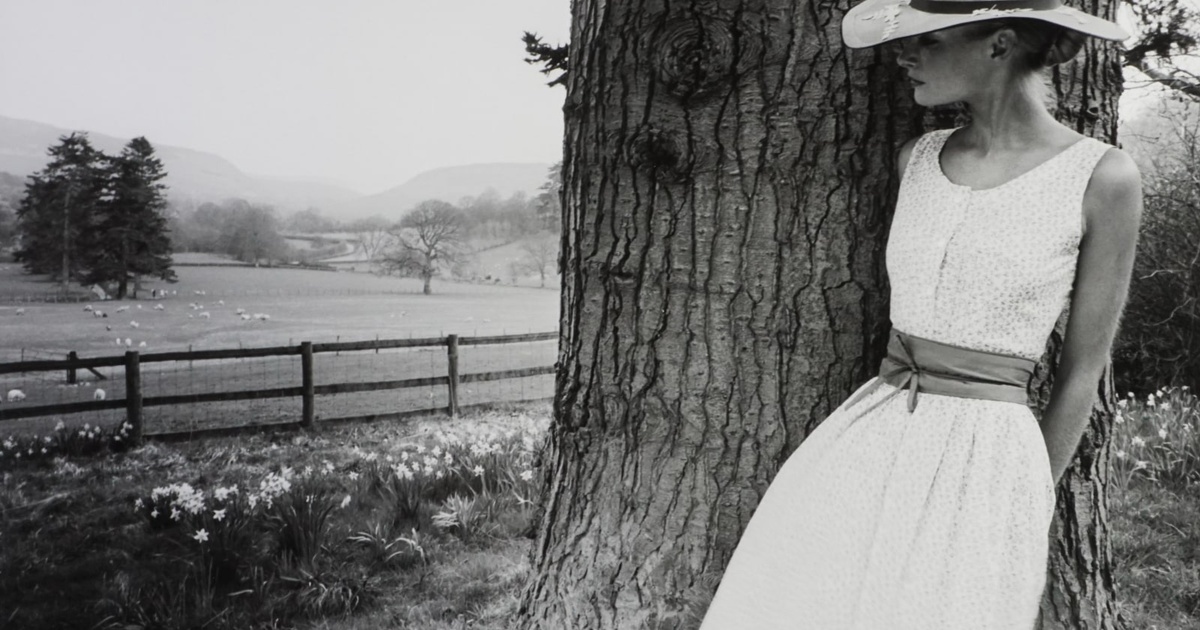 #1787 - John Swannell | Peter Fetterman Gallery