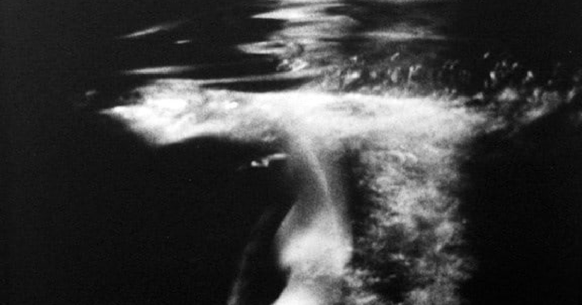 #1135 - Lillian Bassman | Peter Fetterman Gallery