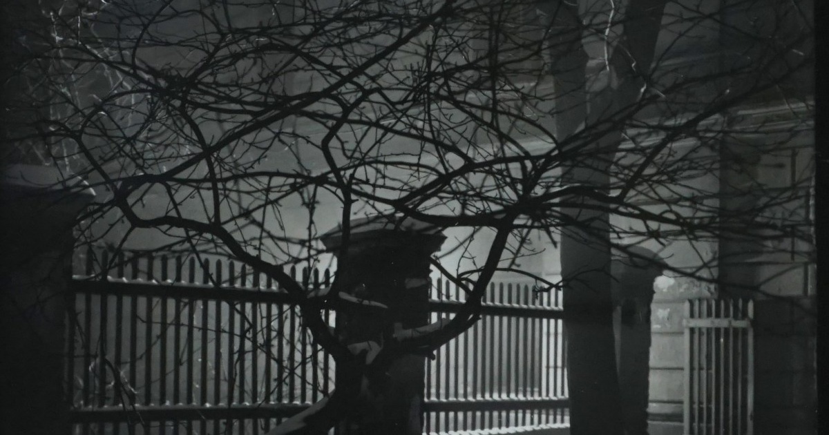 #1169 - Josef Sudek | Peter Fetterman Gallery